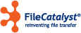 FileCatalyst Webmail file transfer solution, easily transfer large files.